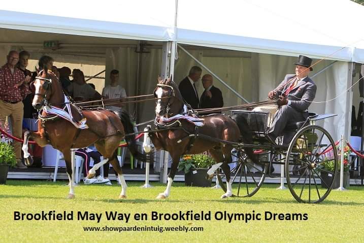 Nieuws | Hackney Rijders